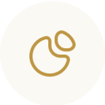 DR. ALYSSA PRICE – MACARTHUR MEDICAL CENTER