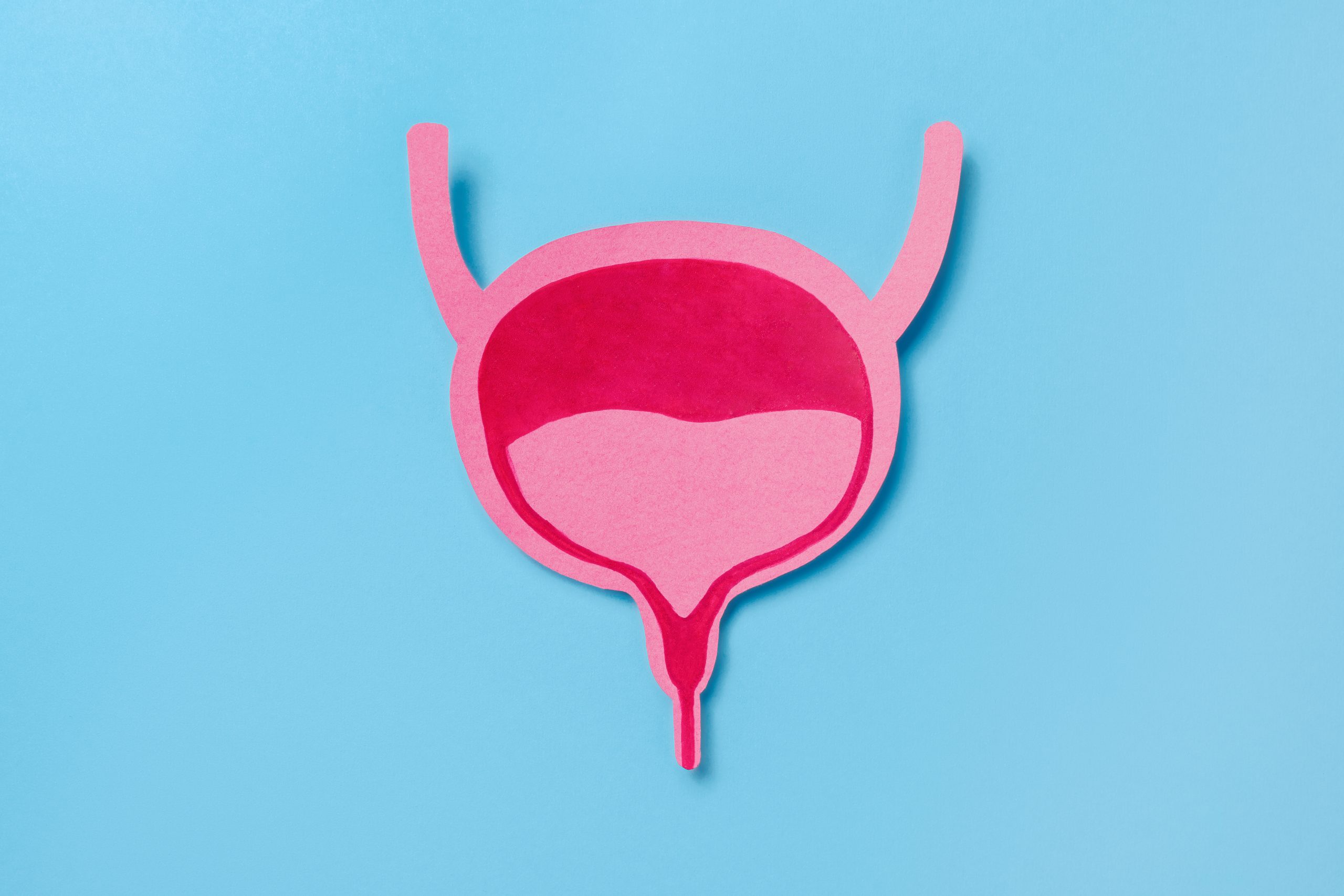 When Laughing Makes You Leak: Understanding Stress Urinary Incontinence ...